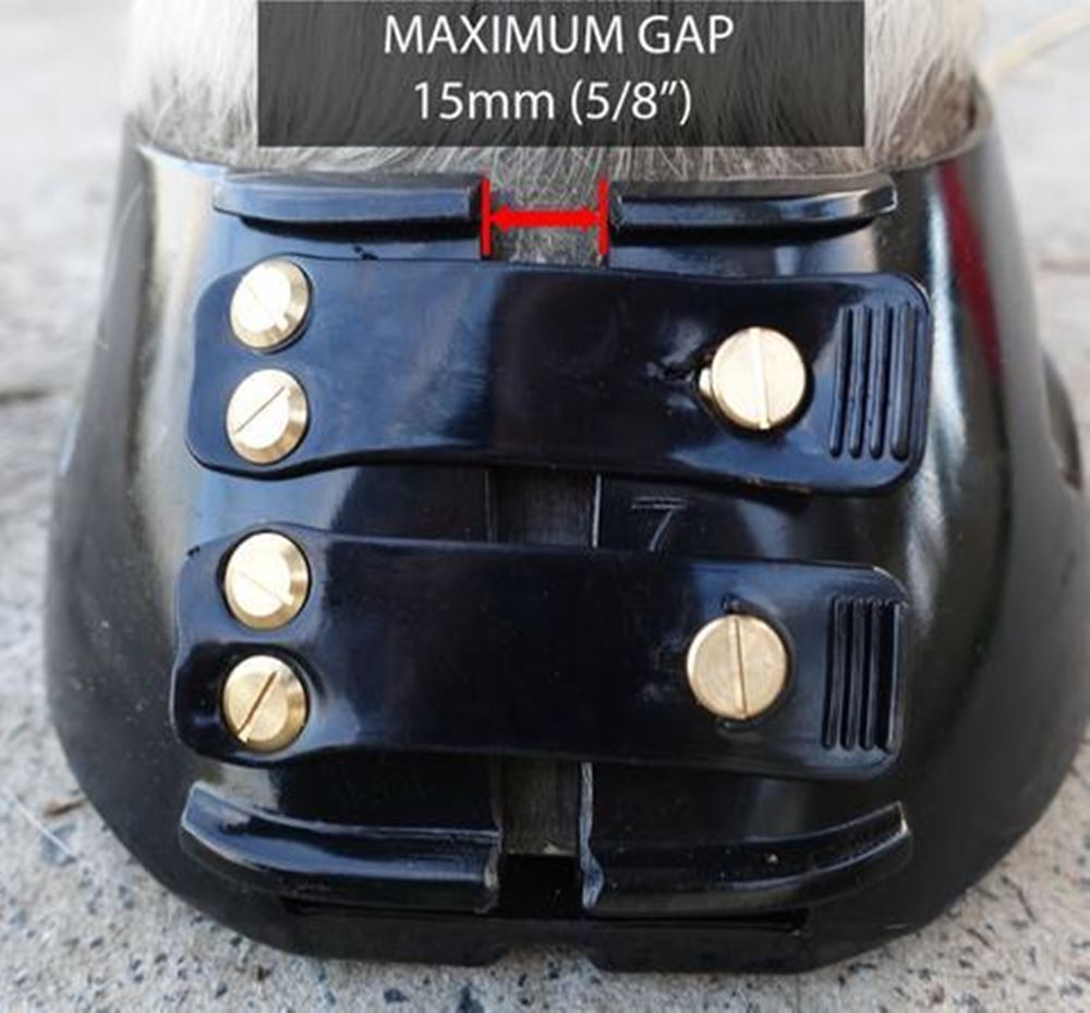 Scoot Boot Hoof Boots Regular (Pair) + Claim FREE Straps and Cap worth ...