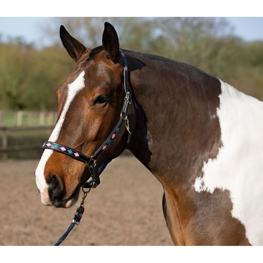 Gallop Premium Diamond Stitch Padded Leather Headcollar (Pink/Aqua)