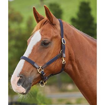 Bridle Rings Kincade Leather Bit Converters - Pelham Bridle Accessory ...