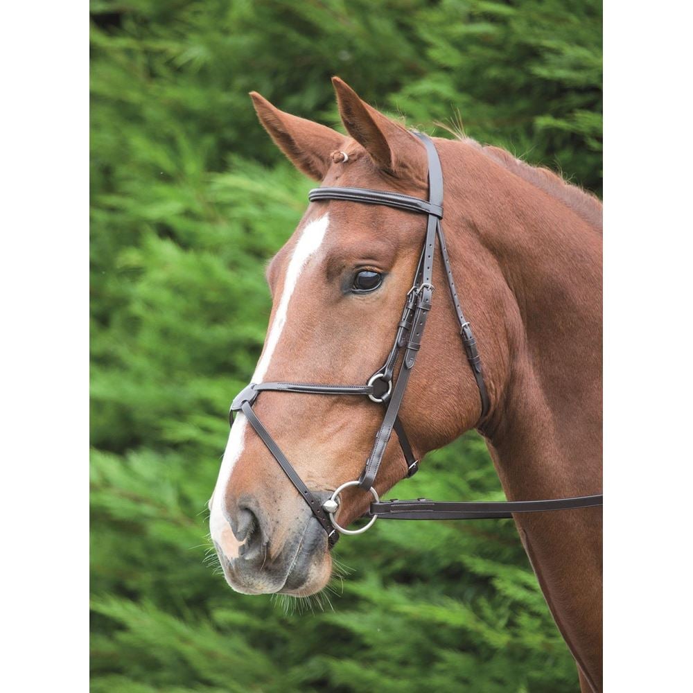 Shires Aviemore Mexican Bridle