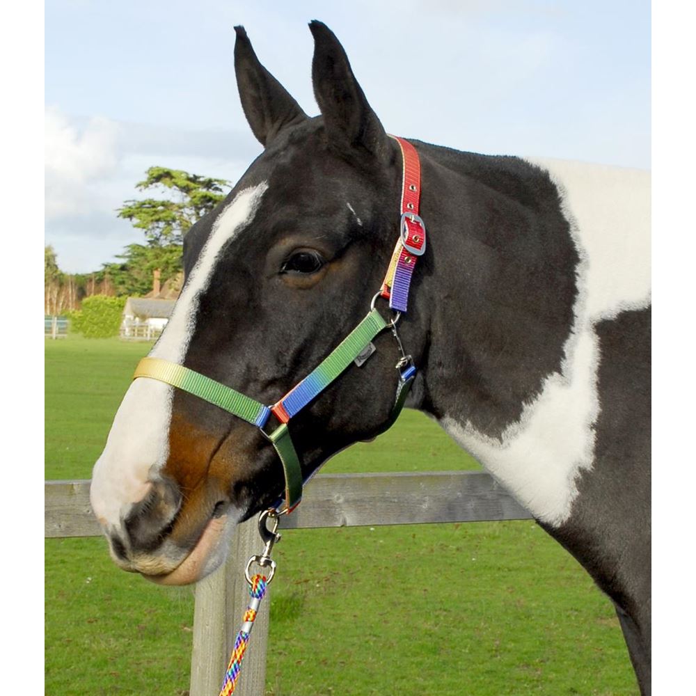Rhinegold Rainbow Headcollar And Lead Rope Set