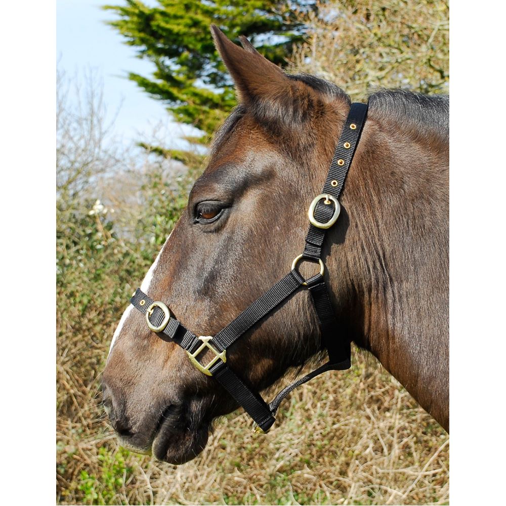 Rhinegold Nylon Headcollar (Black)