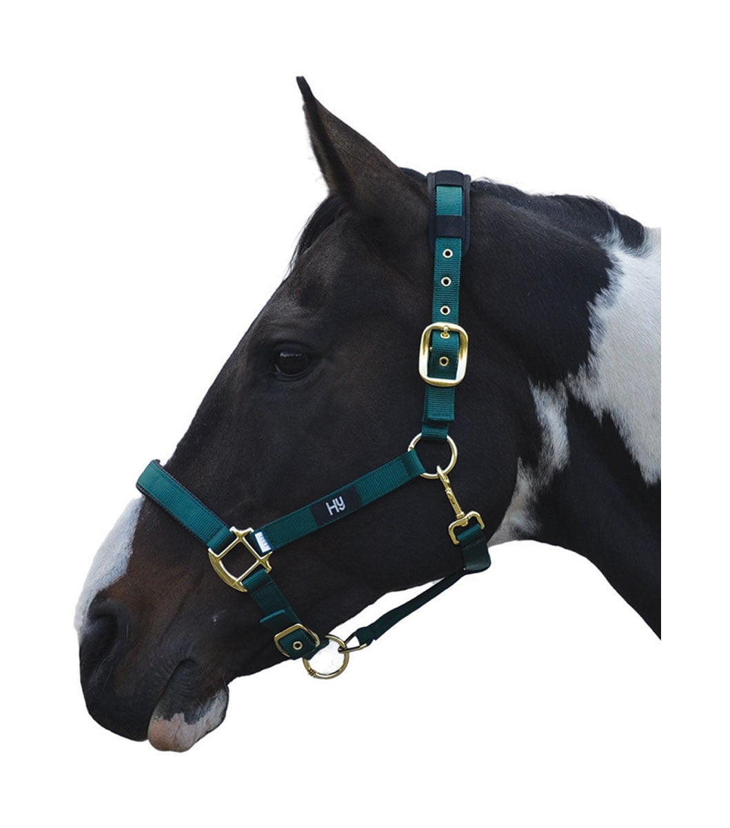 Horse Headcollars | The Saddlery Shop