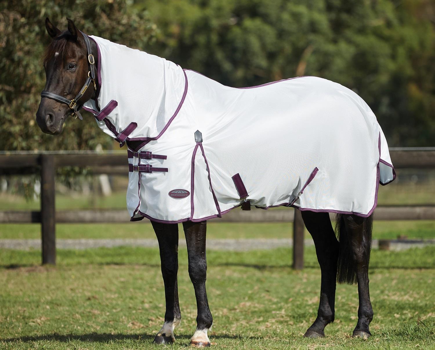 Weatherbeeta Horse Rugs | The Saddlery Shop
